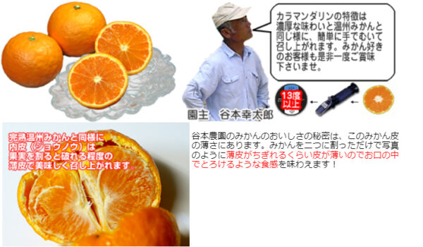 「カラマンダリン」オレンジ | 鮮度抜群の採れたて南高梅、みかん、レモンを生産農家直送でお届け！